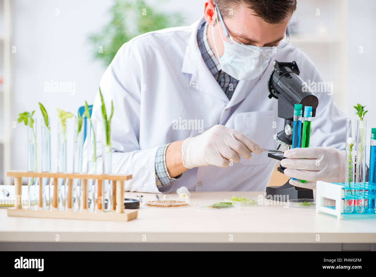 Male biochemist working in the lab on plants Stock Photo - Alamy