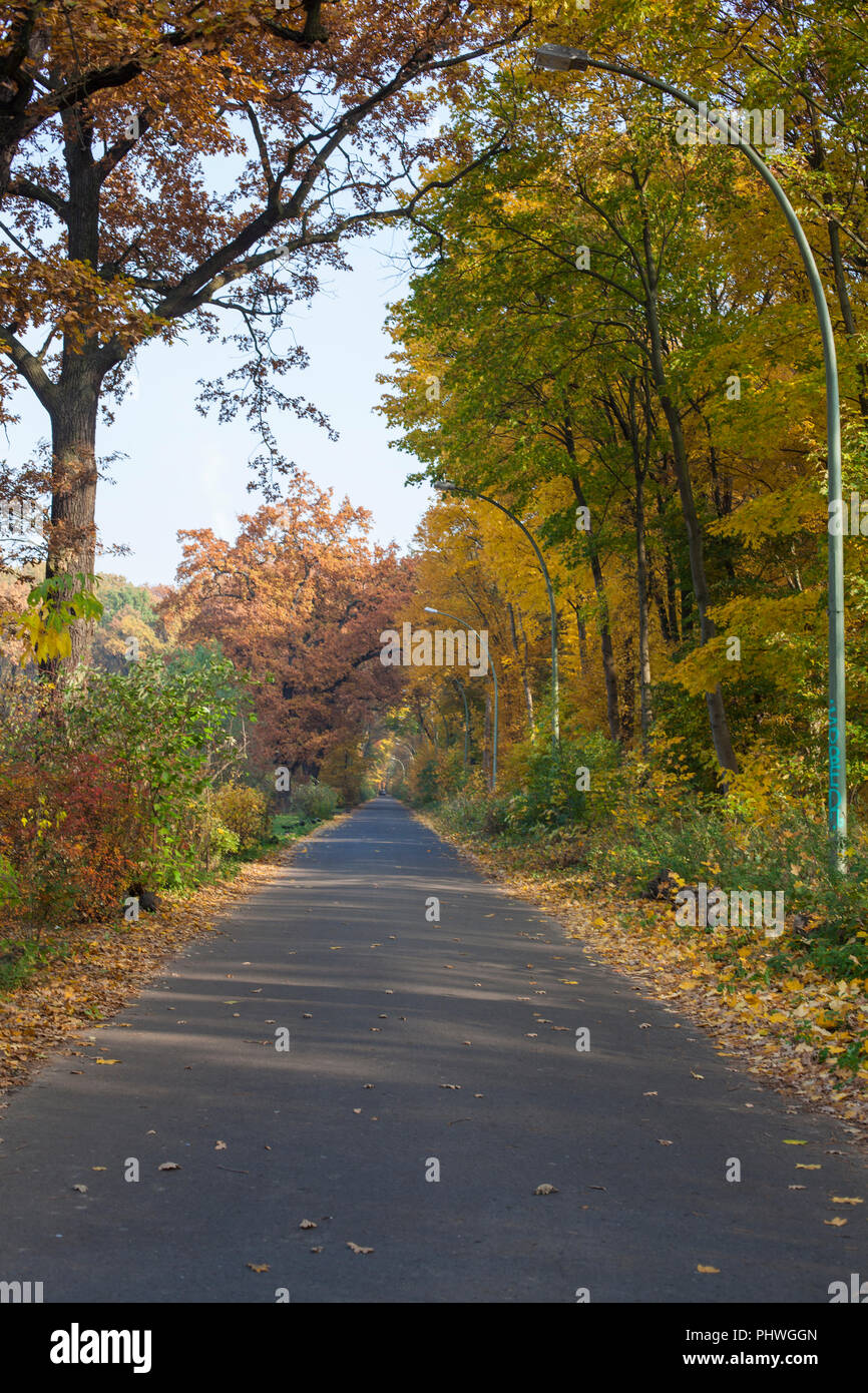 Autmn day hi-res stock photography and images - Alamy