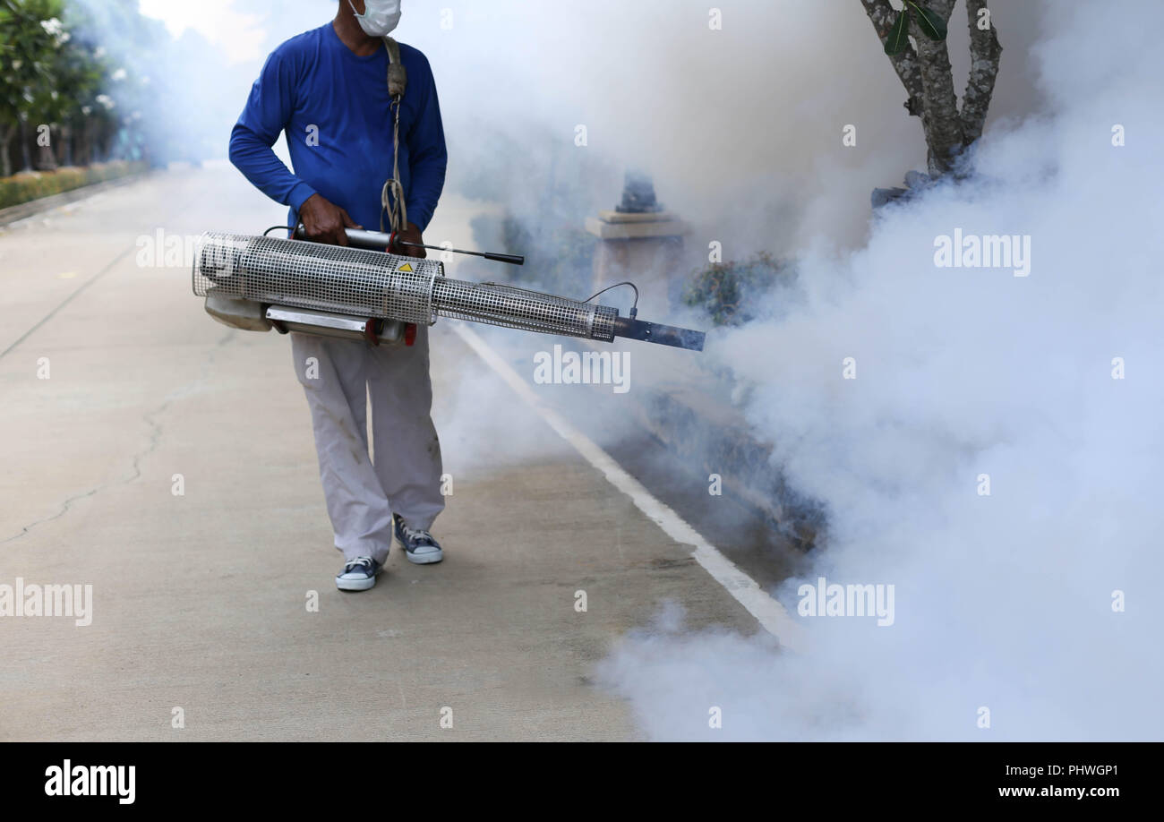 Unidentified man fogging mosquito to prevent of dengue fever Stock ...