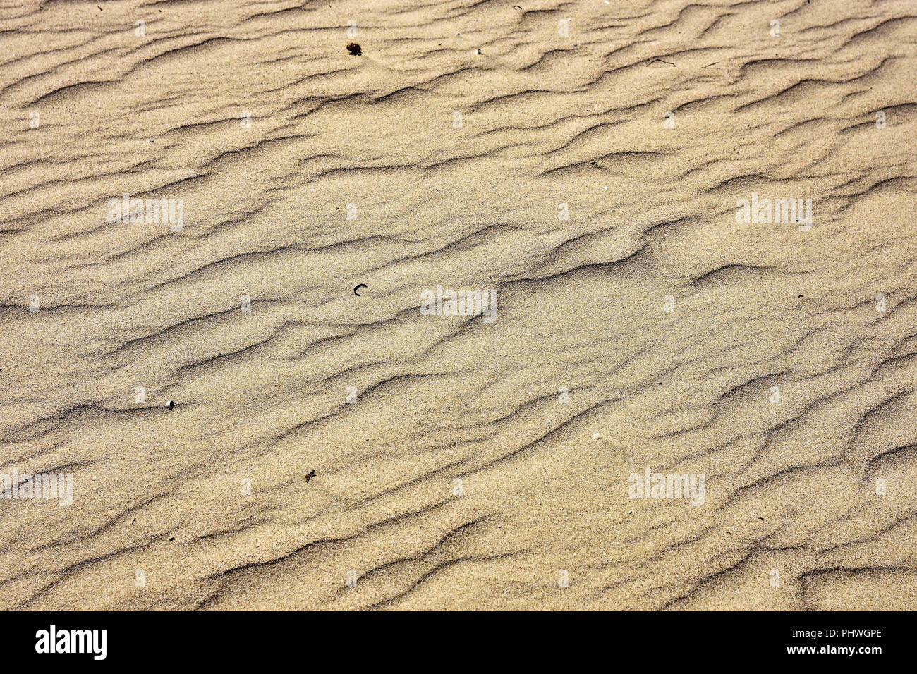 sand texture at the beach Stock Photo - Alamy