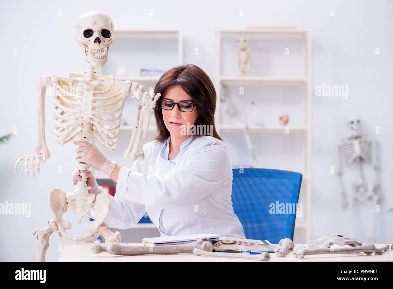 Doctor working in the lab on skeleton Stock Photo - Alamy