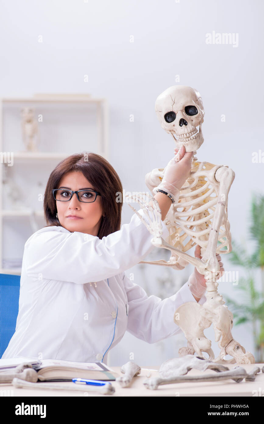 Doctor working in the lab on skeleton Stock Photo - Alamy