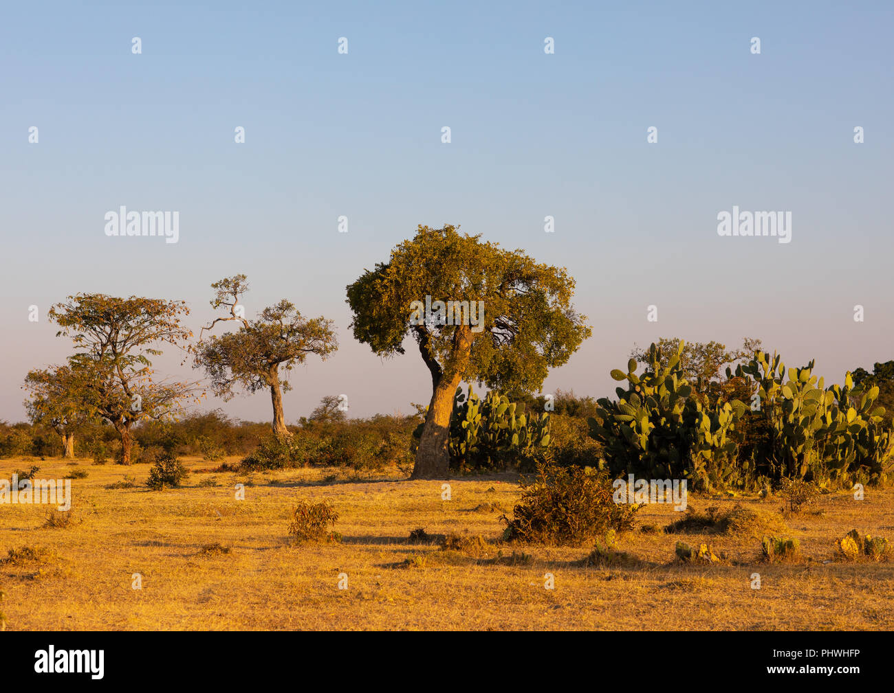 African landscape picture hi-res stock photography and images - Alamy