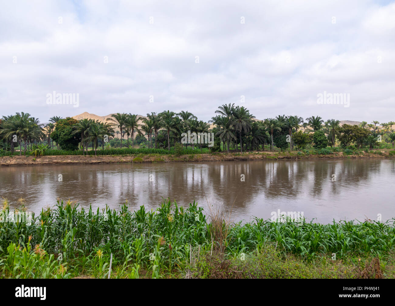 Plam trees in front of a river, Benguela Province, Catumbela, Angola ...