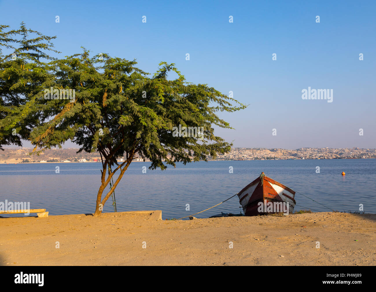 Fishing boat by a tree on the seashore, Benguela Province, Lobito ...