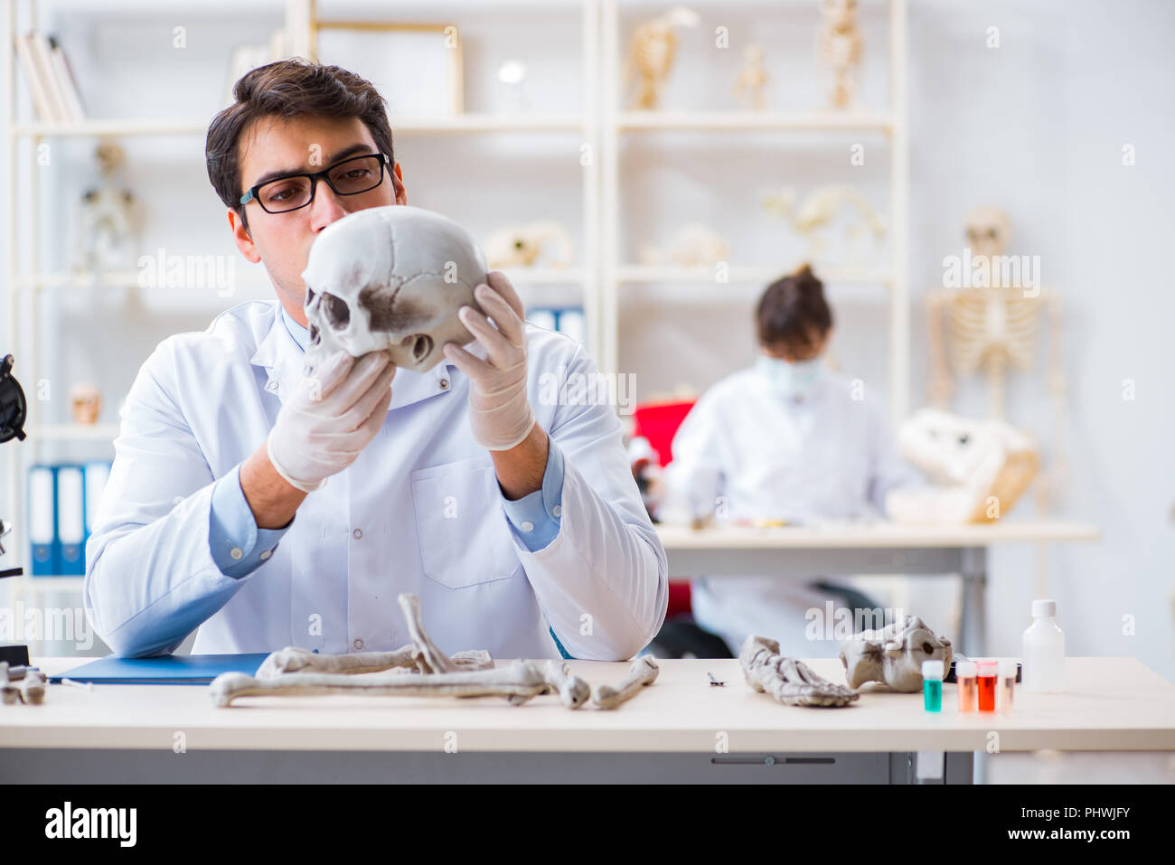 Professor studying human skeleton in lab Stock Photo - Alamy