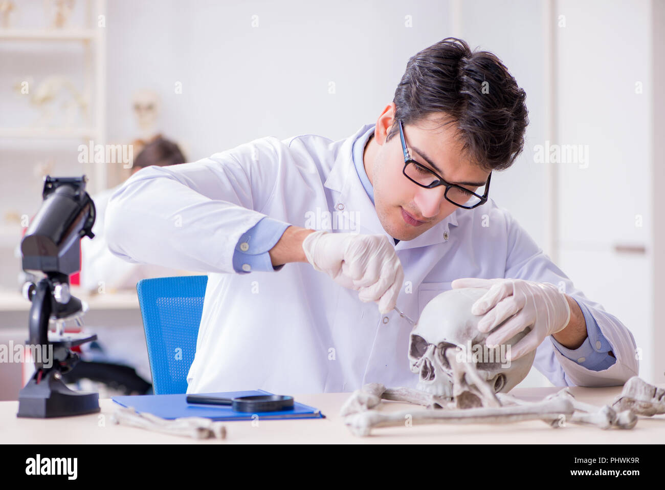 Professor studying human skeleton in lab Stock Photo - Alamy