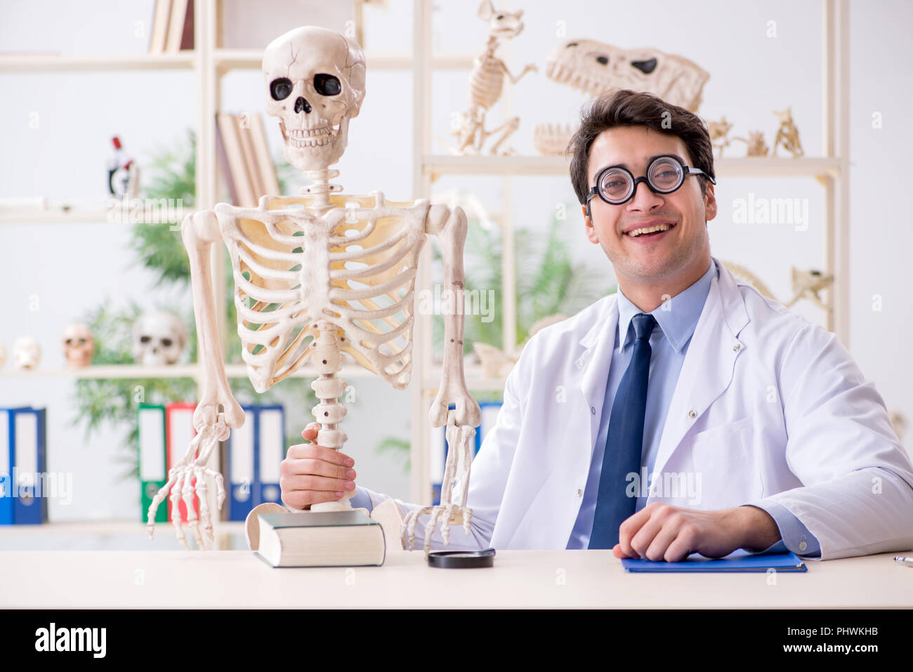 Crazy professor studying human skeleton Stock Photo - Alamy