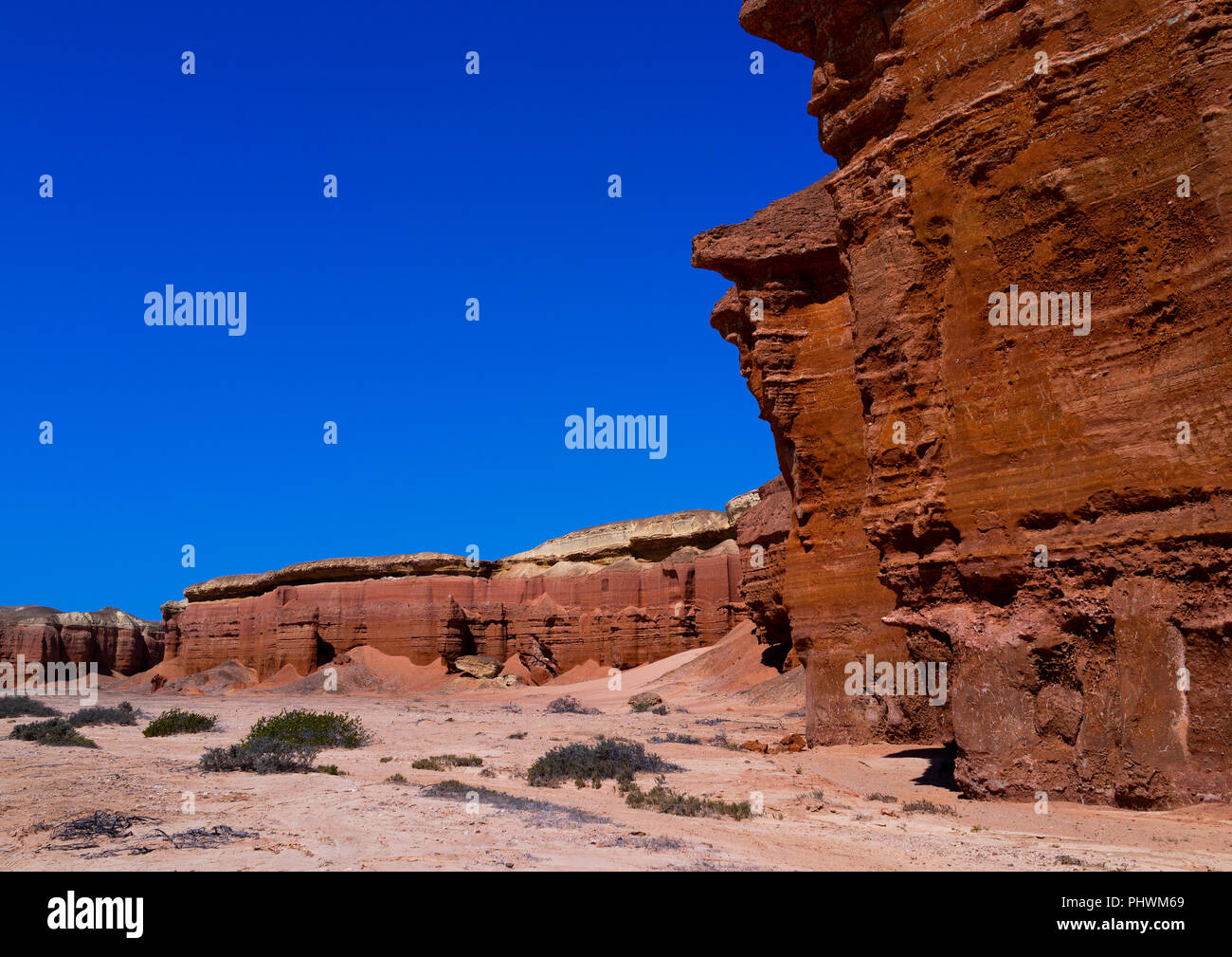 Kuroca hi-res stock photography and images - Alamy
