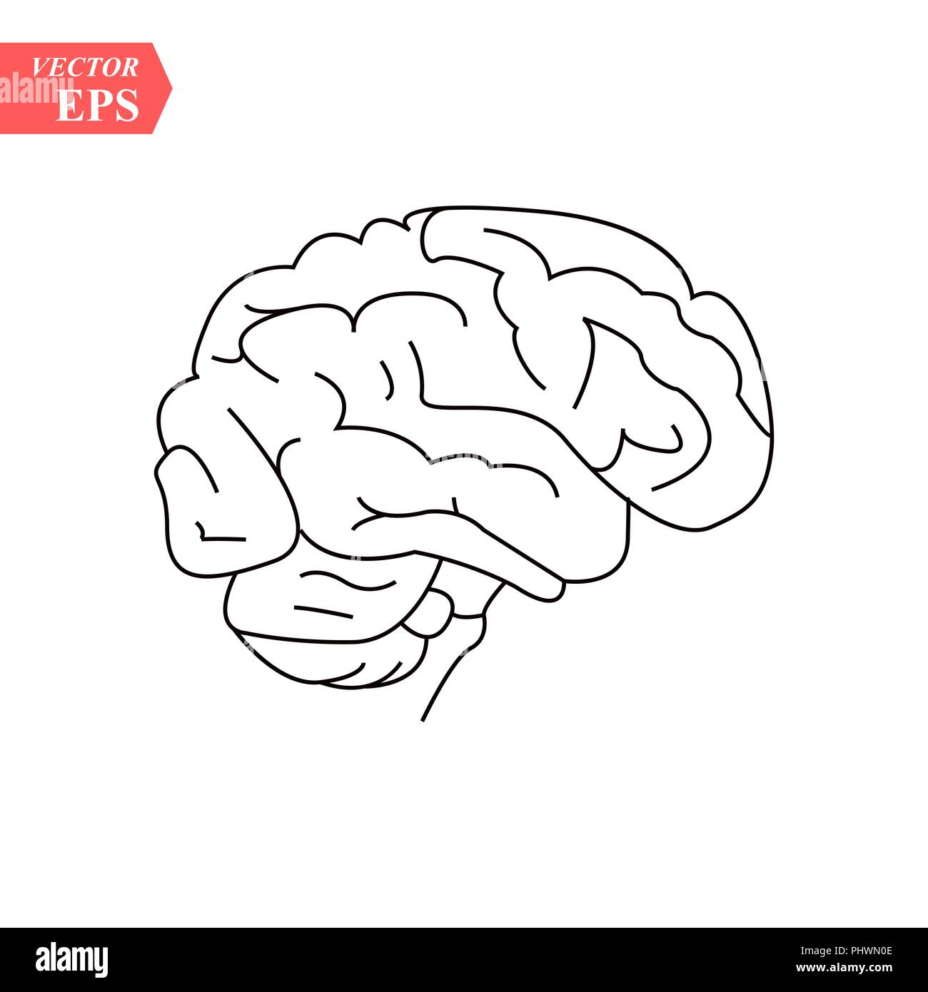 Brain, mind or intelligence line art icon for apps and websites Stock ...