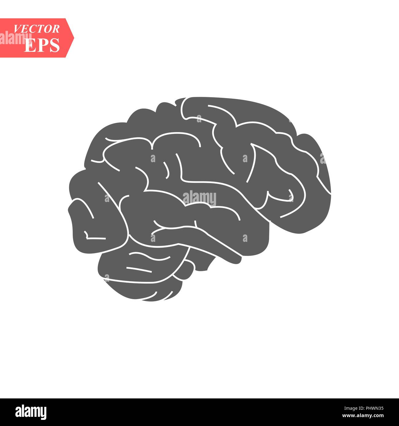 Brain or mind side view line art color vector icon for medical apps and ...