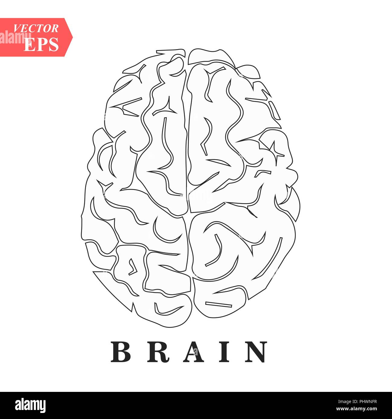 Brain, mind or intelligence line art icon for apps and websites Stock ...