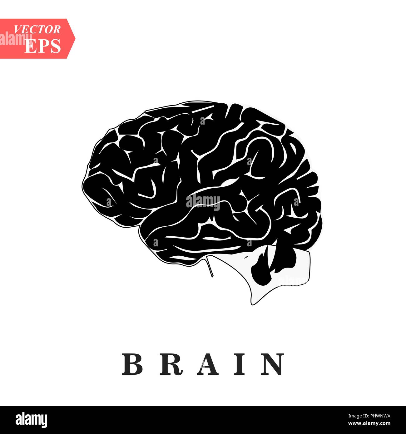 Head with brain vector icon EPS10. Simple isolated silhouette symbol ...