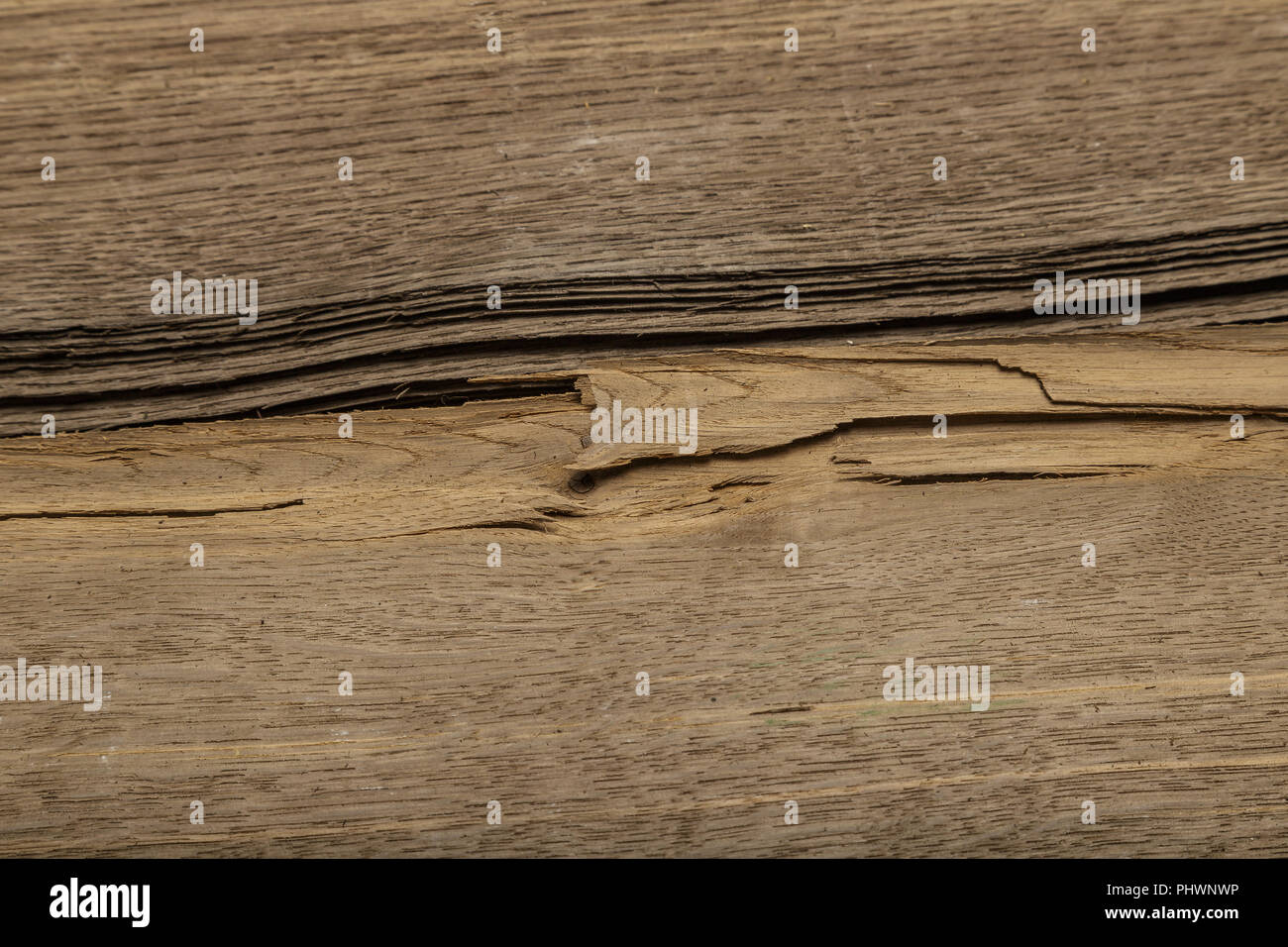 Veneer made from old oak, texture of wood Stock Photo - Alamy