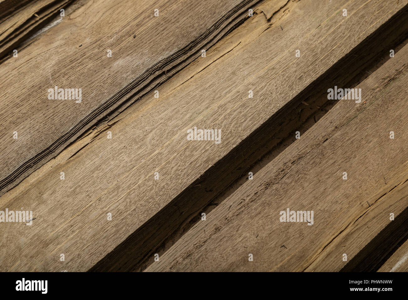 Veneer made from old oak, texture of wood Stock Photo - Alamy