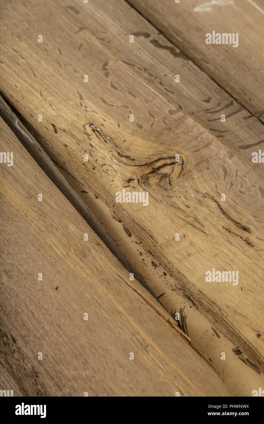 Veneer made from old oak, texture of wood Stock Photo - Alamy