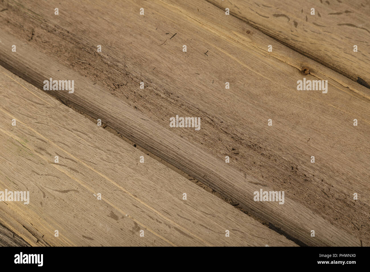 Veneer made from old oak, texture of wood Stock Photo - Alamy