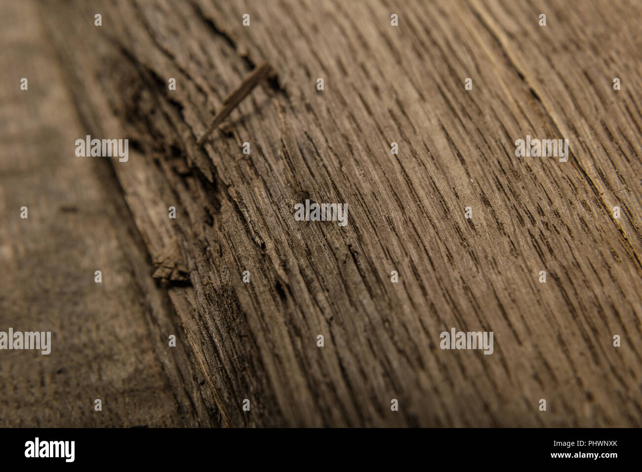 Veneer made from old oak, texture of wood Stock Photo - Alamy