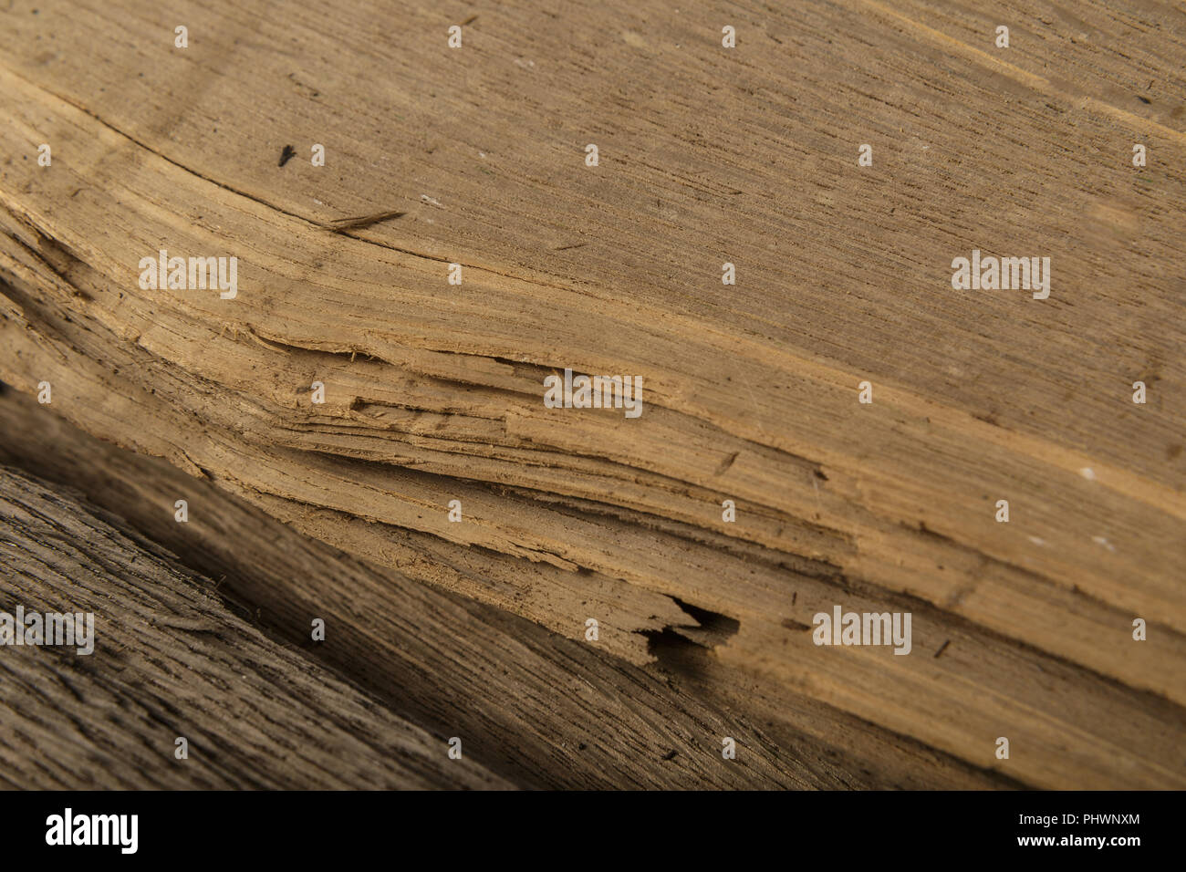 Veneer made from old oak, texture of wood Stock Photo - Alamy
