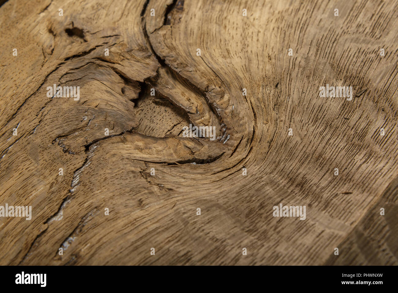 Veneer made from old oak, texture of wood Stock Photo - Alamy