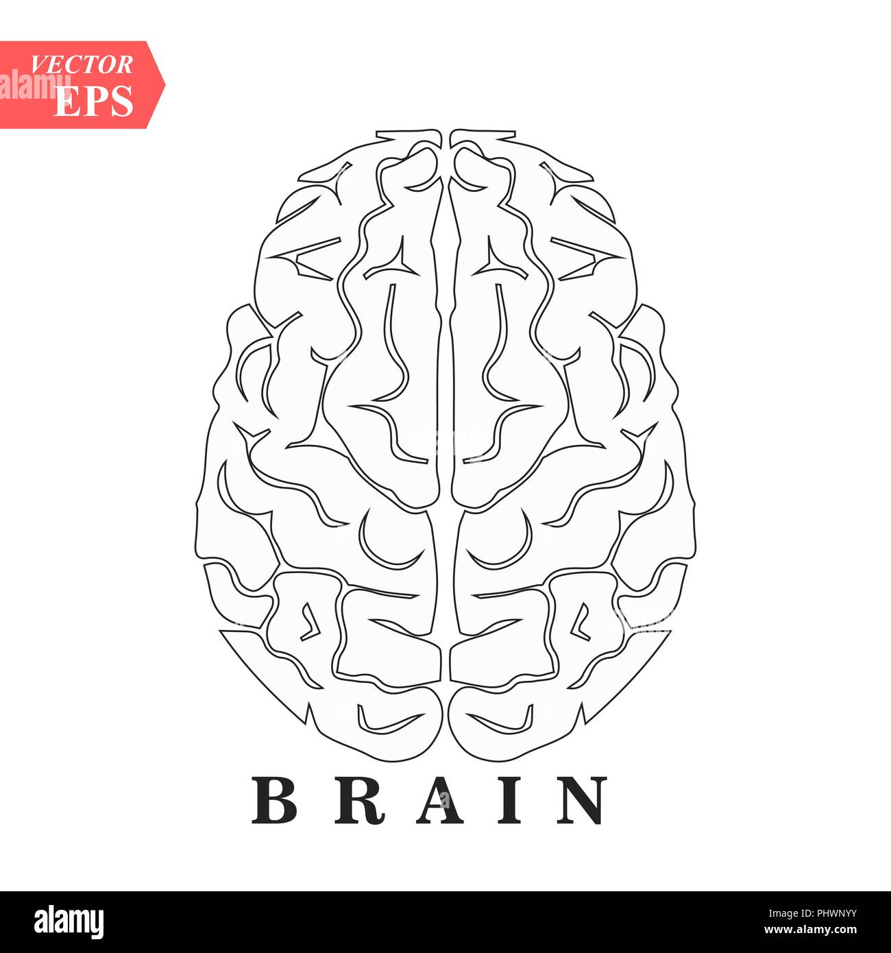 Brain, mind or intelligence line art icon for apps and websites Stock ...
