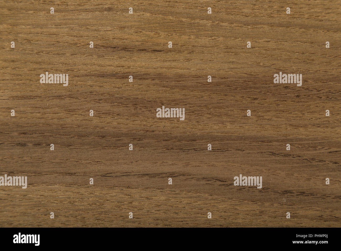 Veneer made from old oak, texture of wood Stock Photo - Alamy