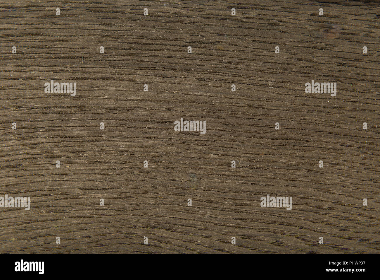 Veneer made from old oak, texture of wood Stock Photo - Alamy