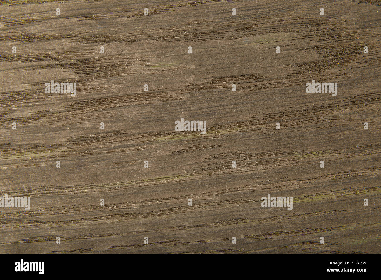 Veneer made from old oak, texture of wood Stock Photo - Alamy
