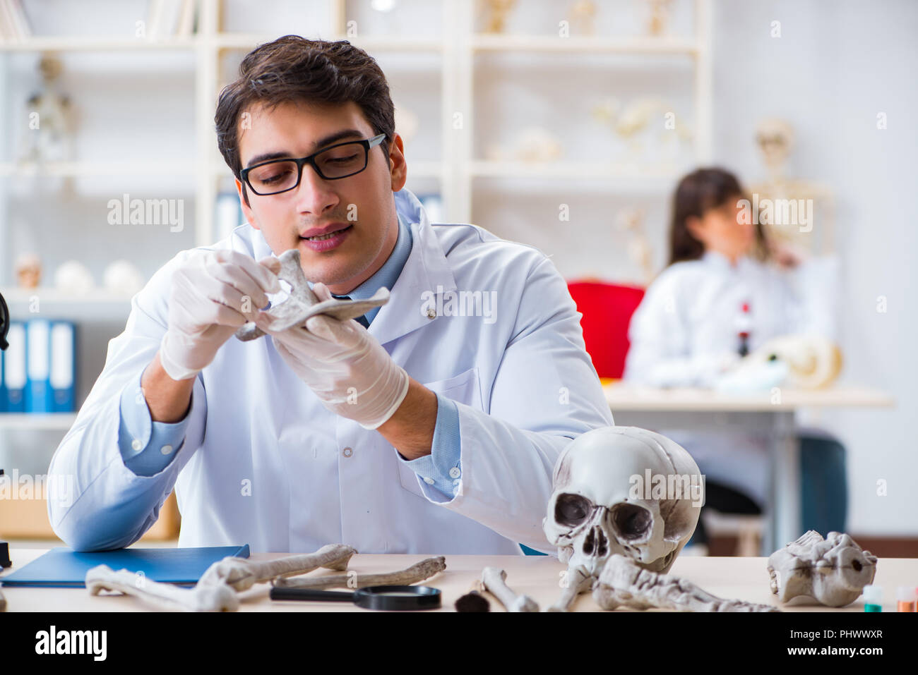 Professor studying human skeleton in lab Stock Photo - Alamy