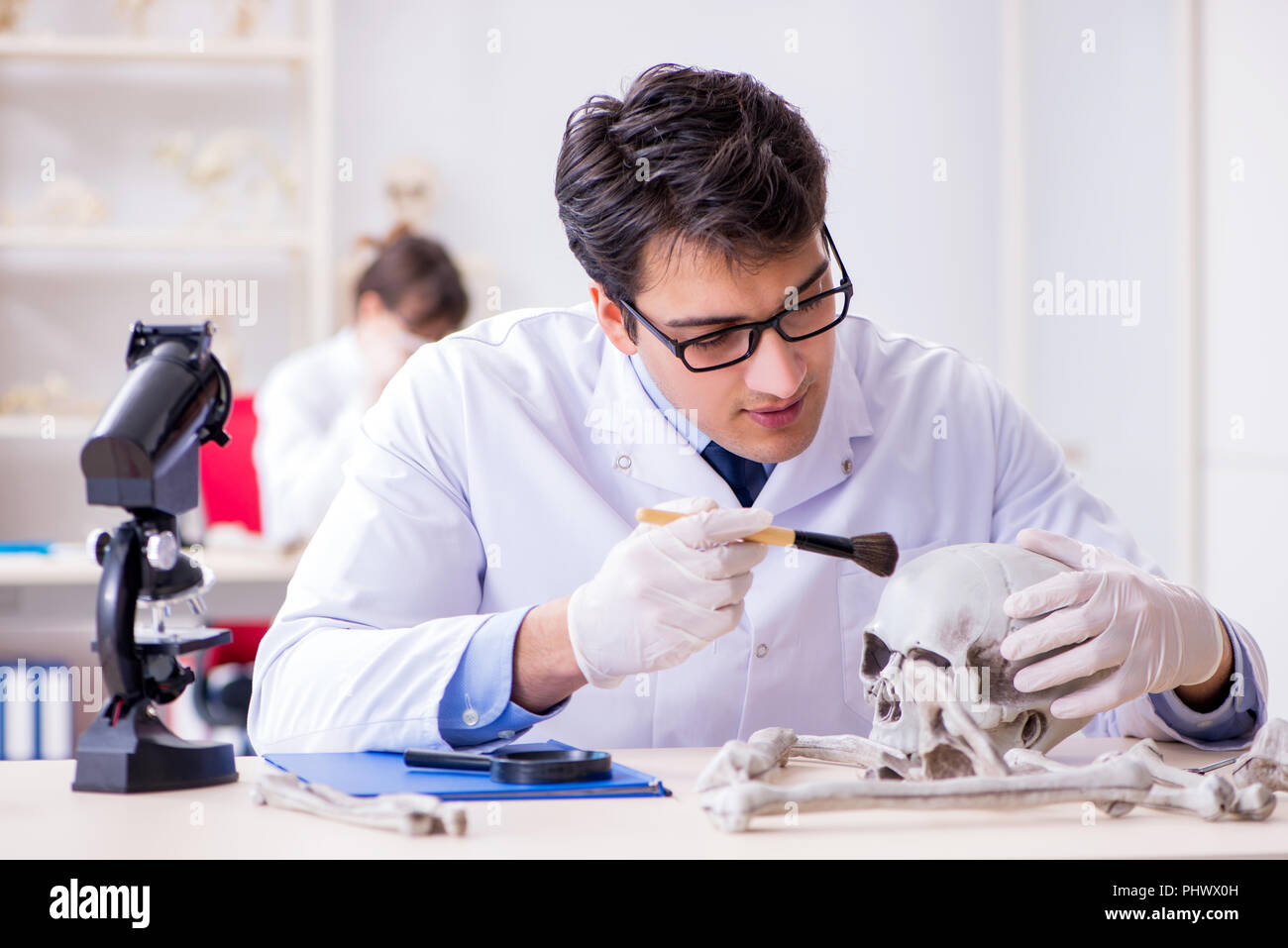 Professor studying human skeleton in lab Stock Photo - Alamy