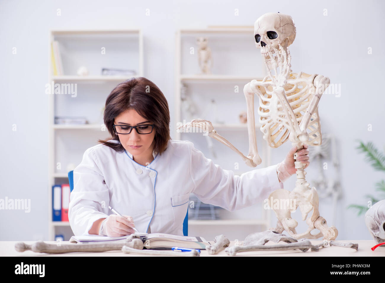 Doctor working in the lab on skeleton Stock Photo - Alamy