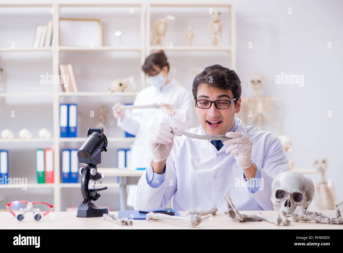 Professor studying human skeleton in lab Stock Photo - Alamy