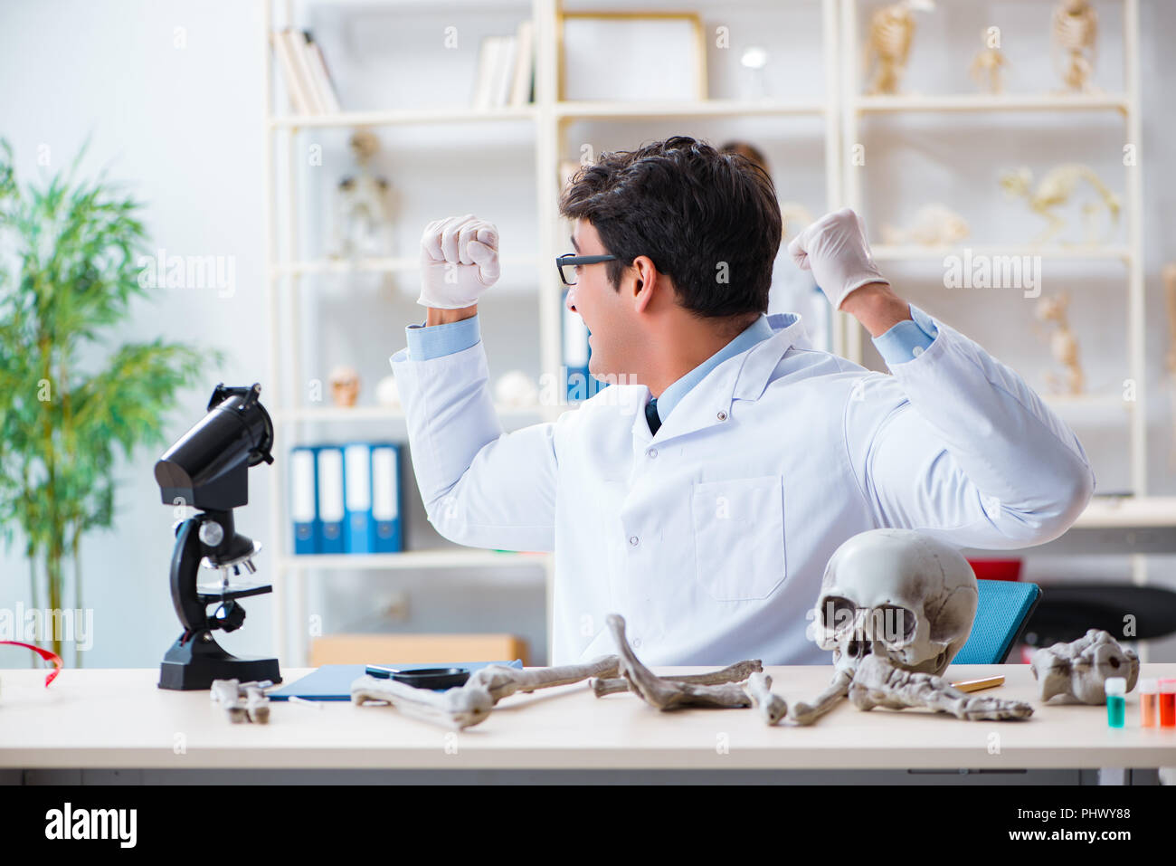 Professor studying human skeleton in lab Stock Photo - Alamy