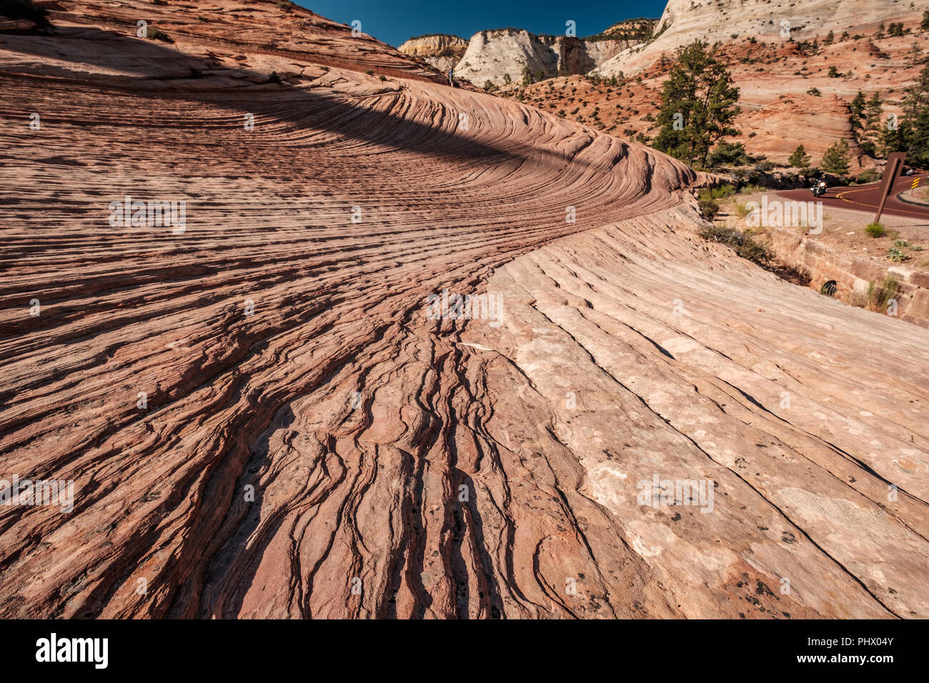 Landscape in Zion National Park Stock Photo - Alamy