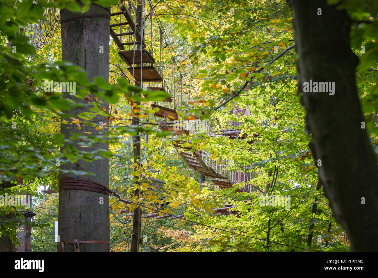 Rope bridge at adventure climbing park with natural background Stock ...