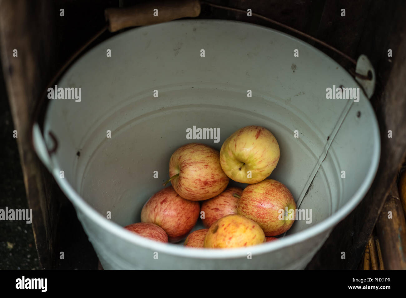 Picked in cornwall hi-res stock photography and images - Alamy