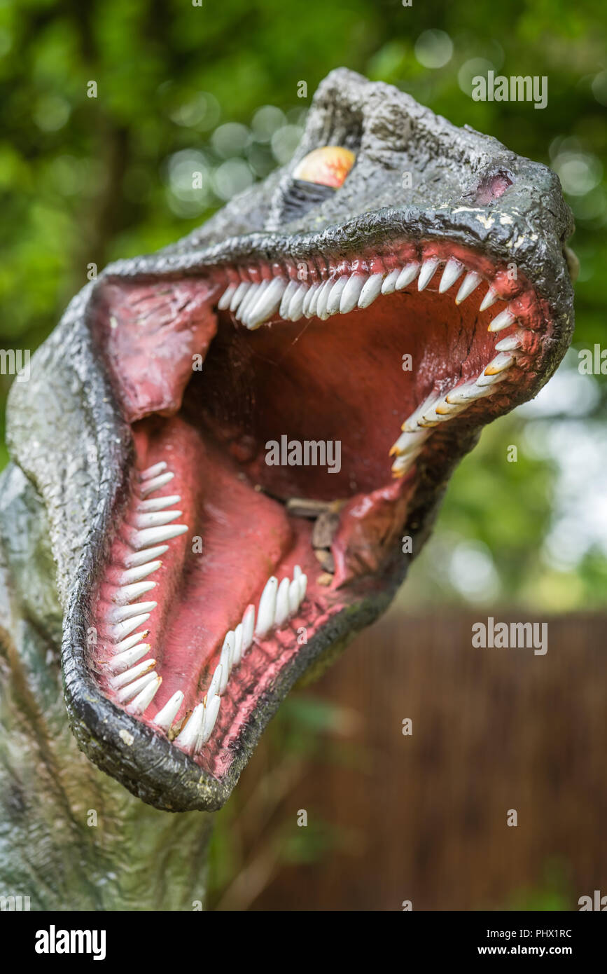 Dinosaur teeth fossil close up hi-res stock photography and images - Alamy