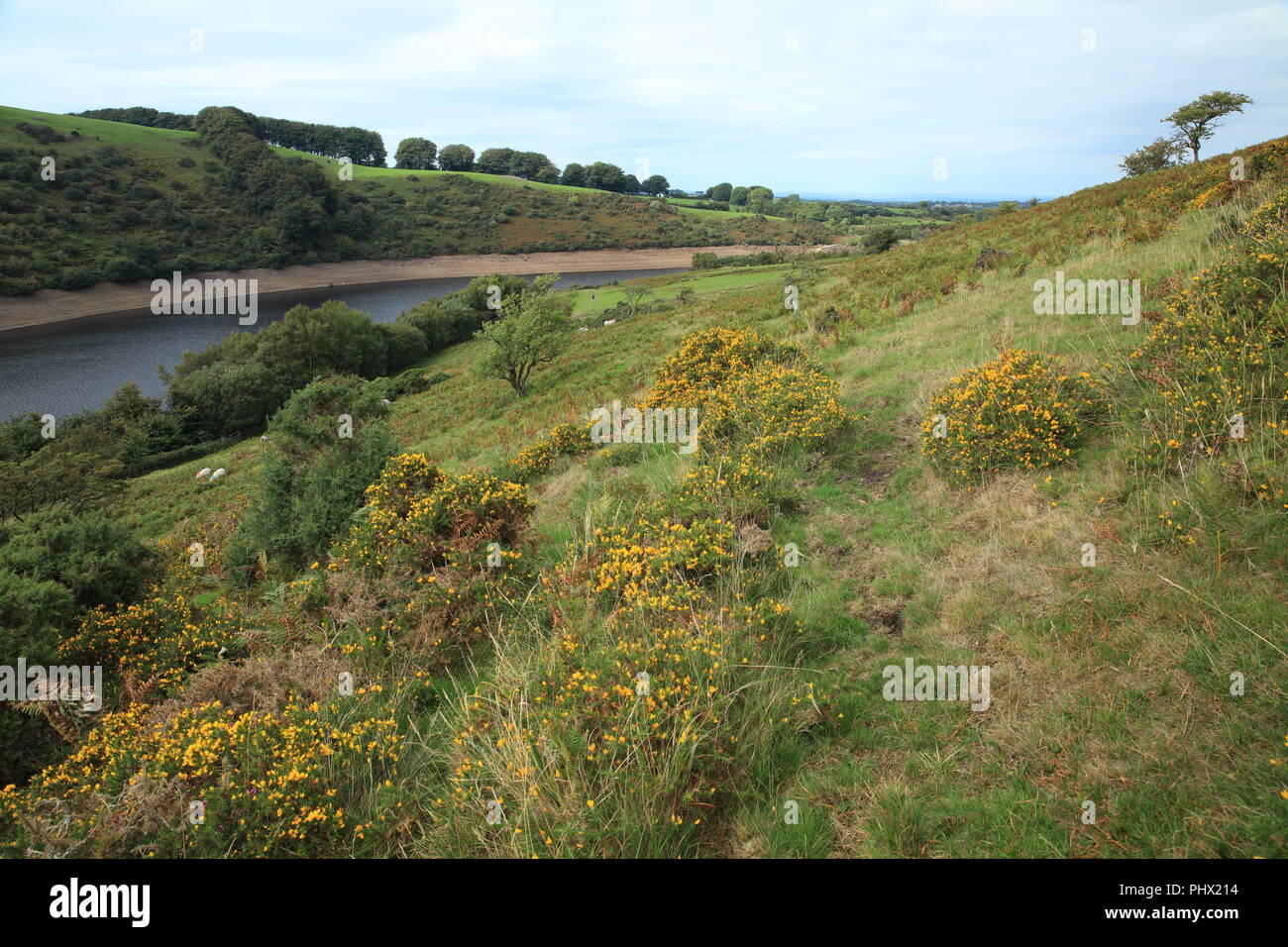 Meldon reservoir, Dartmoor National park, Devon, England, UK Stock ...