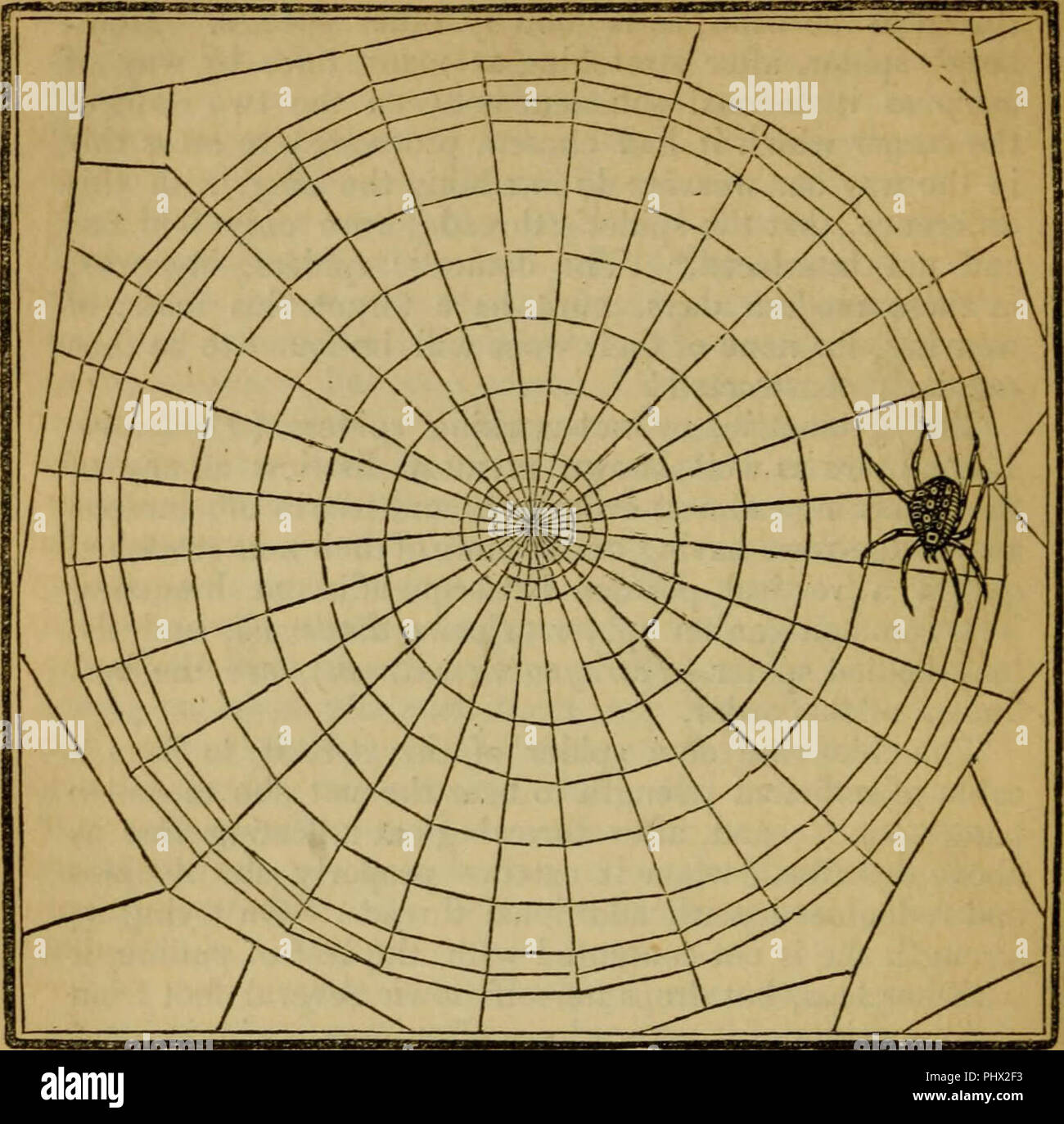 "Insect architecture : to which are added, miscellanies, on the ravages ...