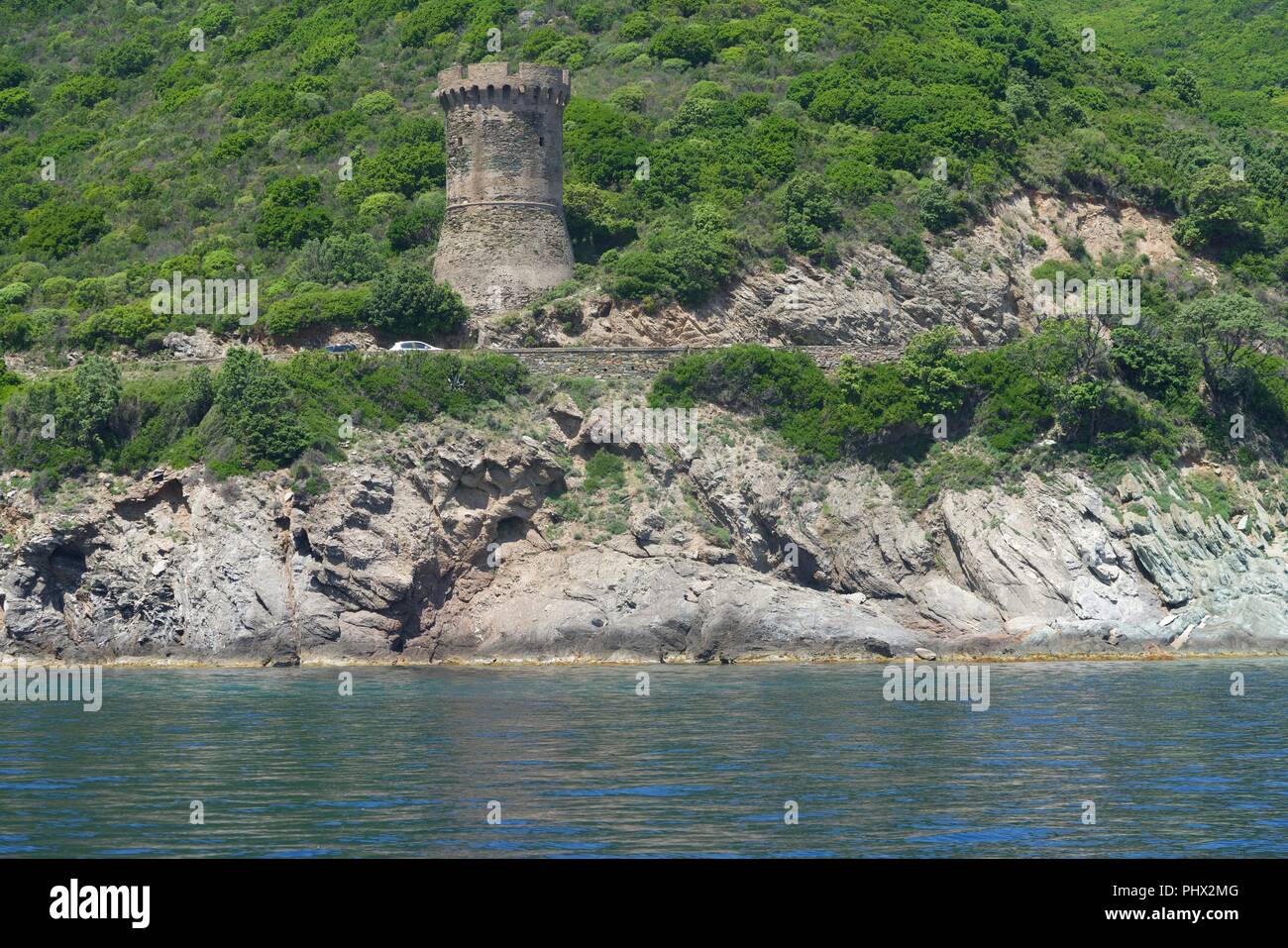 Genoese wildlife hi-res stock photography and images - Alamy