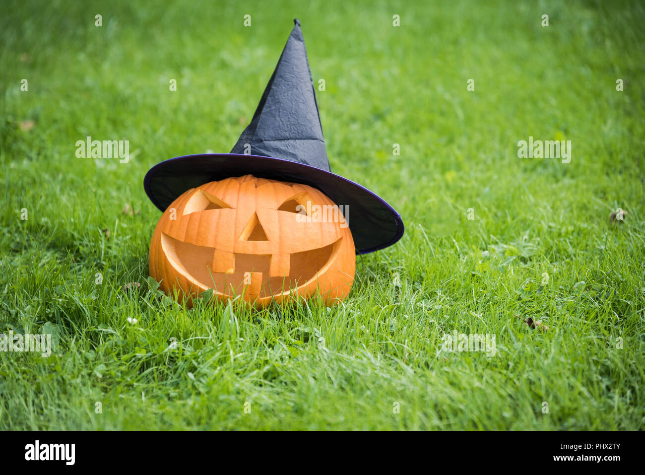 Halloween pumpkin wearing witch hat Stock Photo - Alamy