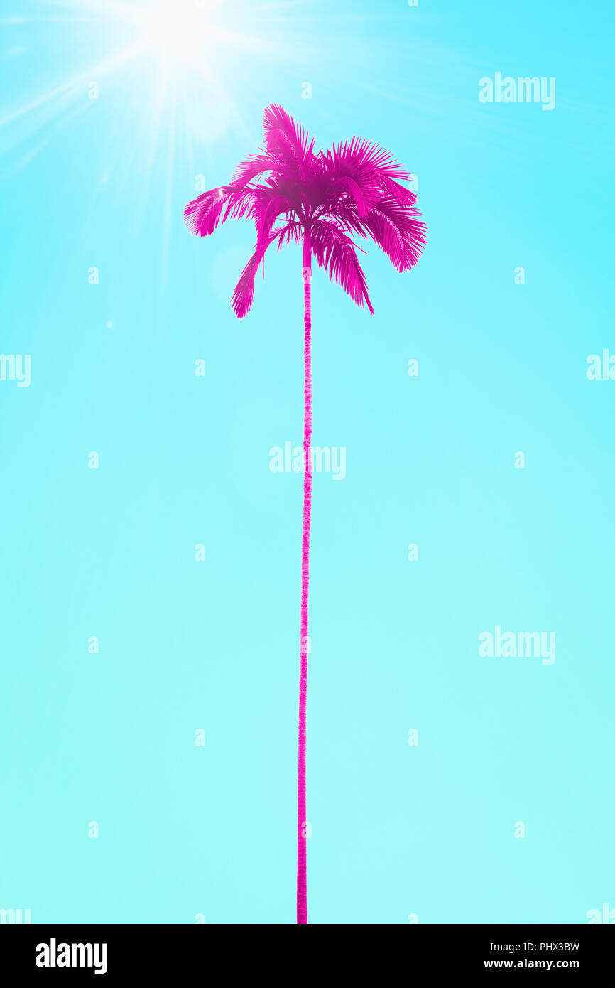 pink palm tree Stock Photo - Alamy