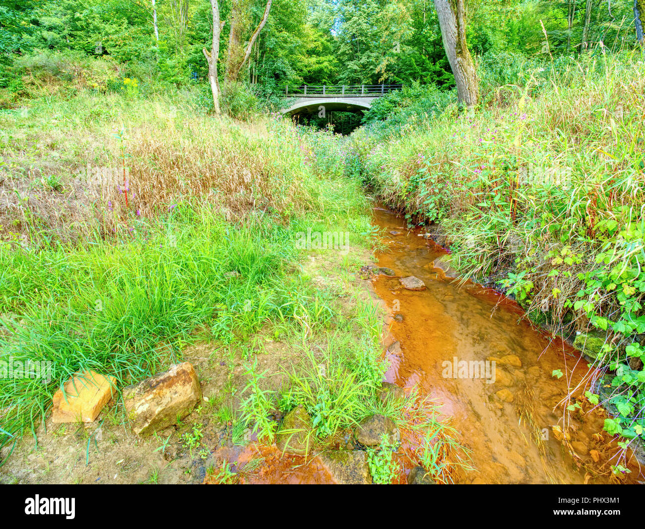 Horrible smell water hi-res stock photography and images - Alamy