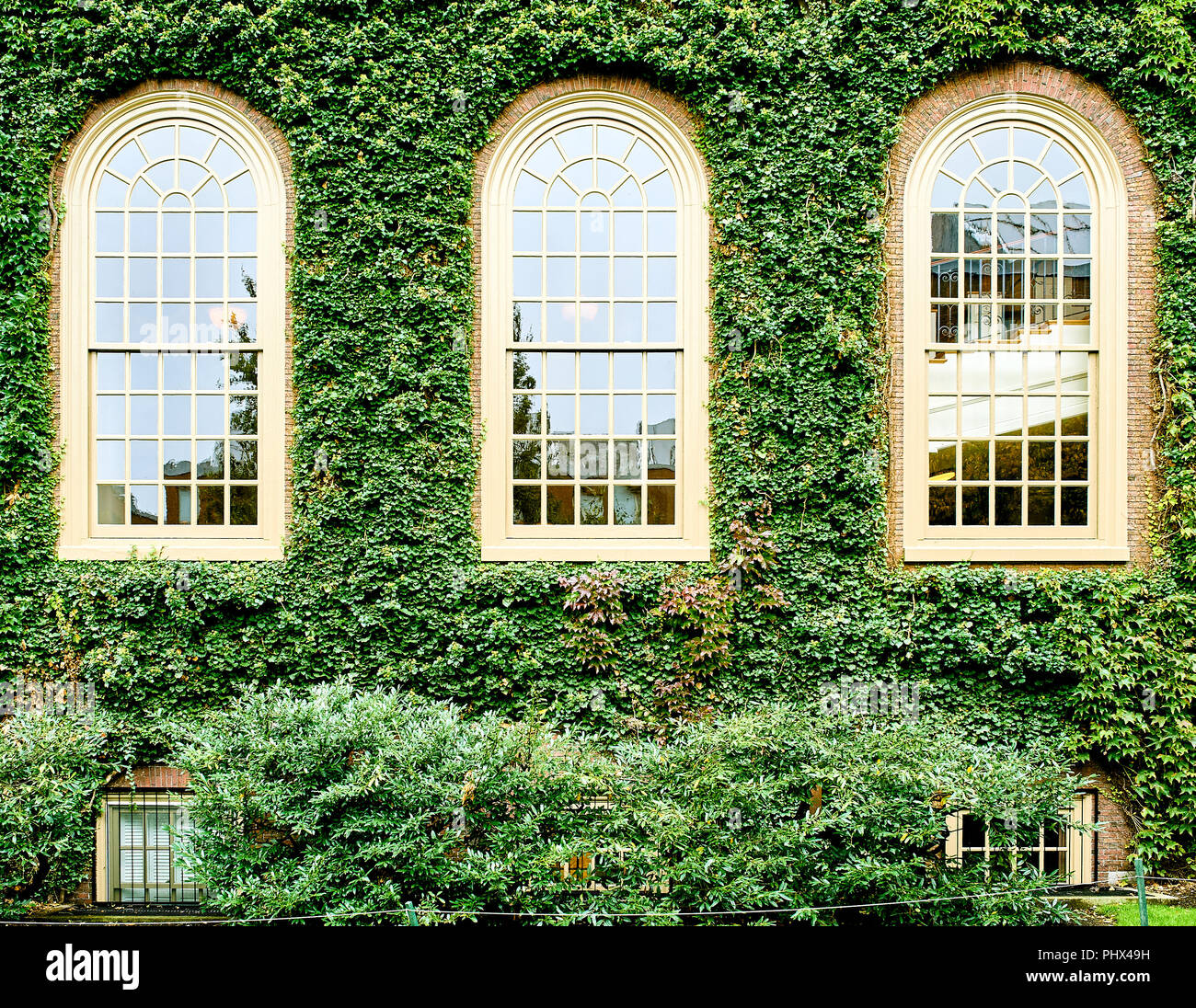 Ivy league school wall hi-res stock photography and images - Alamy