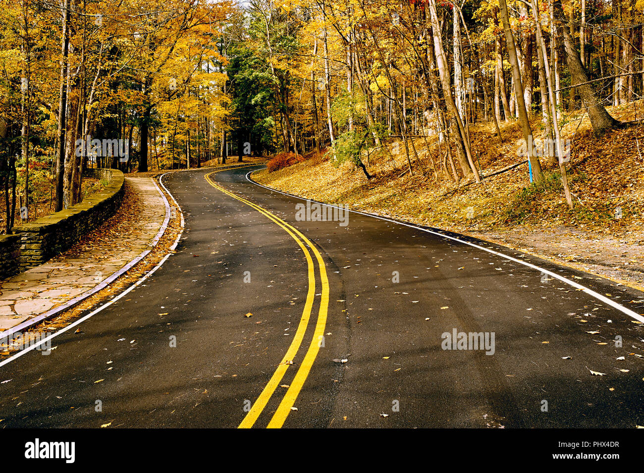 Autumn scene with road in forest Stock Photo - Alamy