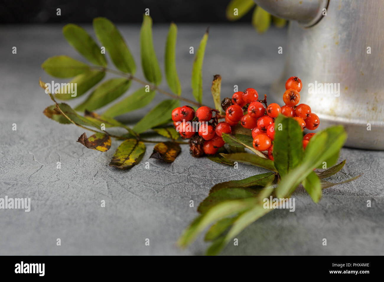 autumn still life with rowan Stock Photo - Alamy