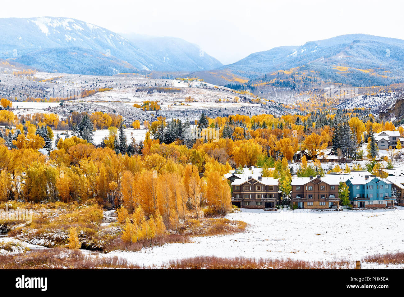Season changing, first snow and autumn trees Stock Photo - Alamy