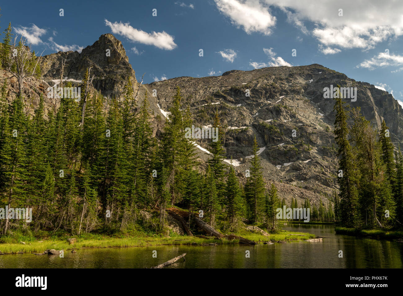Wilderness in Idahi summer time with lake mountains and forest Stock ...