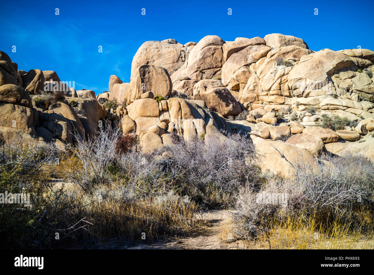 What to see in joshua tree hi-res stock photography and images - Alamy