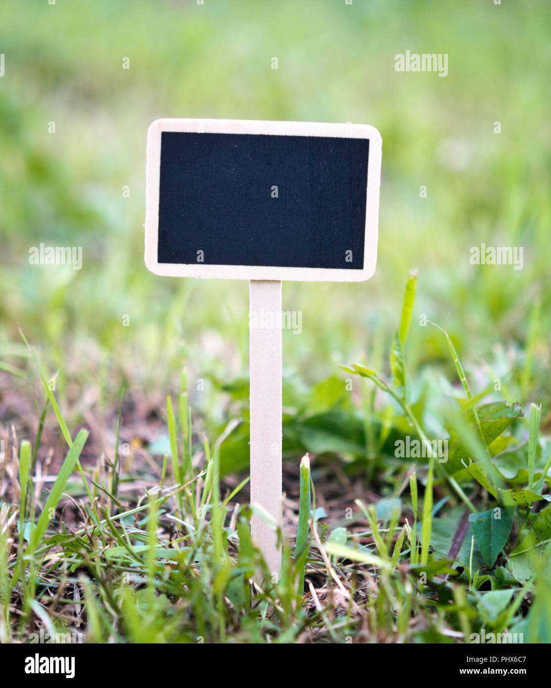 Bird on sign board hi-res stock photography and images - Alamy